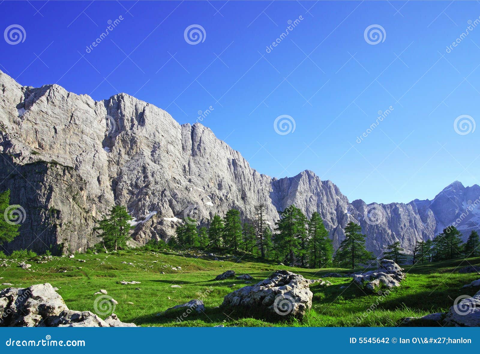 Alpiene pracht stock foto. Image of exemplaar, rand, landschap - 5545642