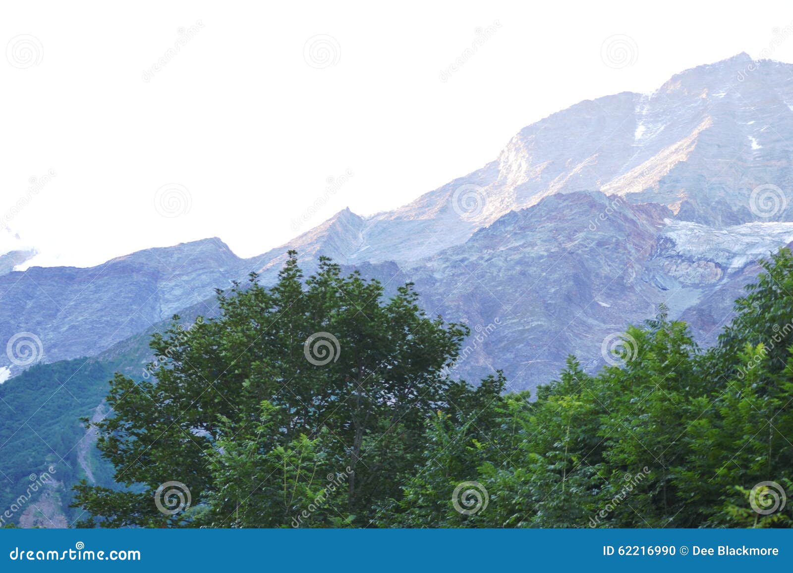 Alpiene Rocky Mountain En Bomen Stock Foto - Image of terrein ...