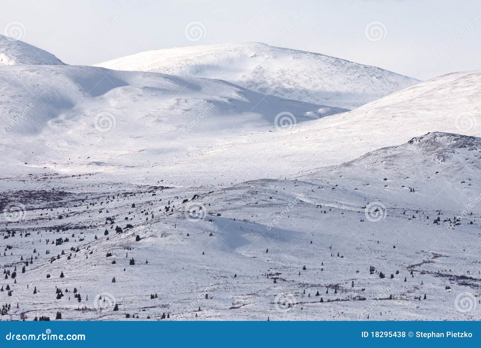 Alpiene Toendra in De Winter Stock Foto - Image of canada, blauw: 18295438