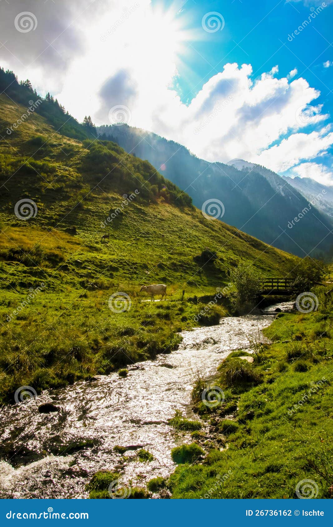 Alpiene Vallei Met Rivier En Bergen Stock Foto - Image of vakantie ...
