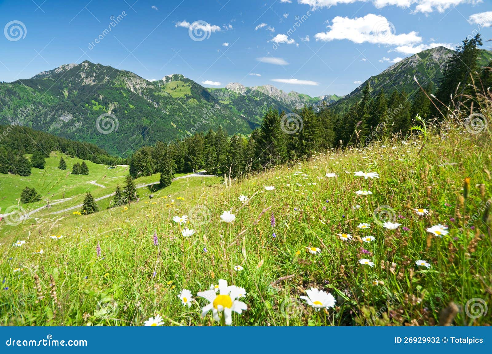 Alpiene weide in Duitsland stock foto. Image of toppen - 26929932