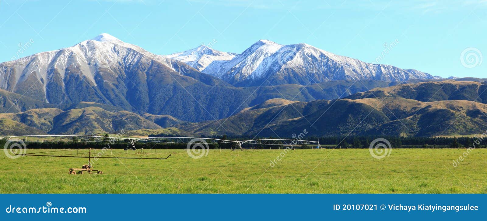 Alpine alps New Zealand stock image. Image of scene, meadow - 20107021