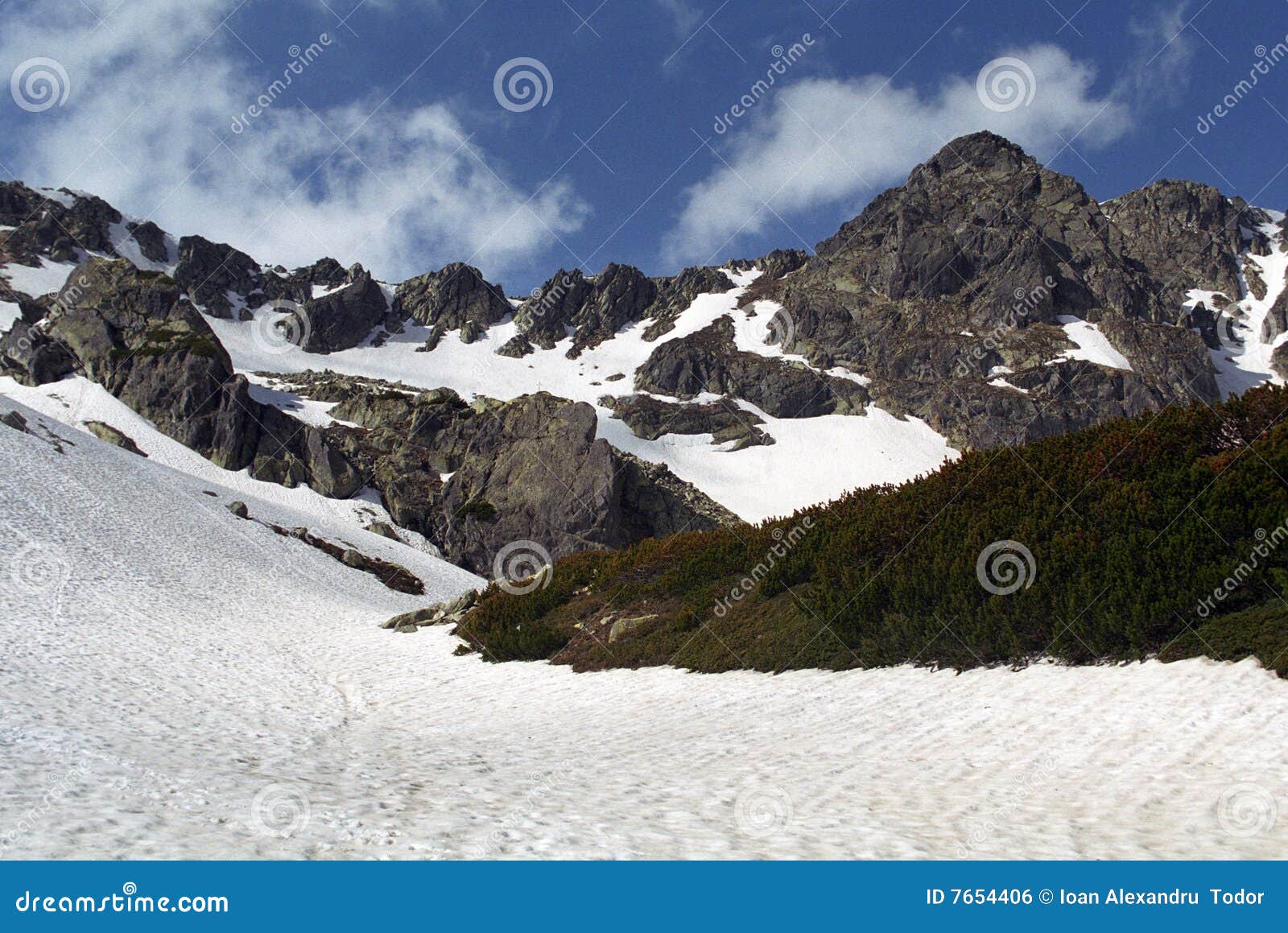 Alpine area stock photo. Image of juniper, carpathians - 7654406