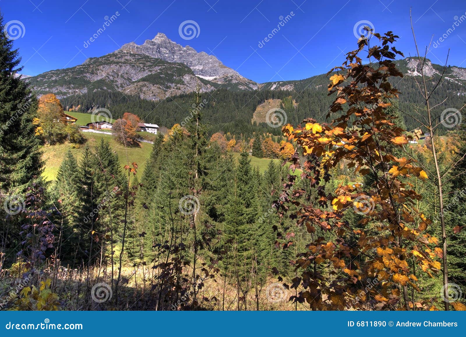 Alpine Austria stock photo. Image of natural, nature, landscape - 6811890