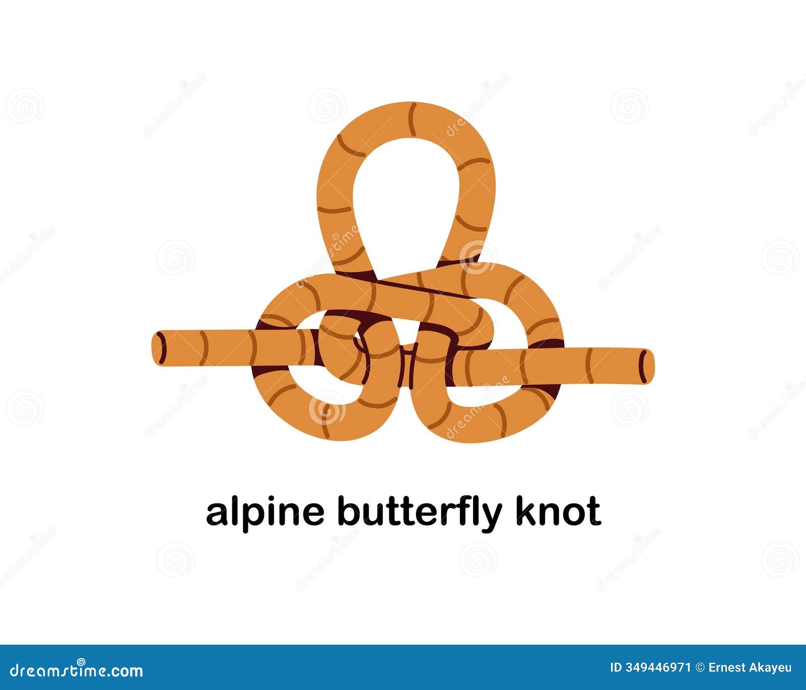 Alpine Butterfly Knot, Loop . Tied Rope, Fixed Cord Noose Stock Vector ...