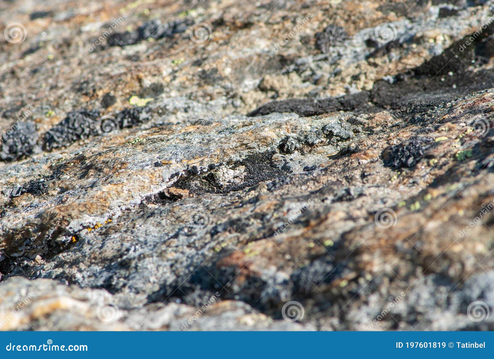 Alpine Close-up Grunge Stone or Rock Texture Stock Image - Image of ...