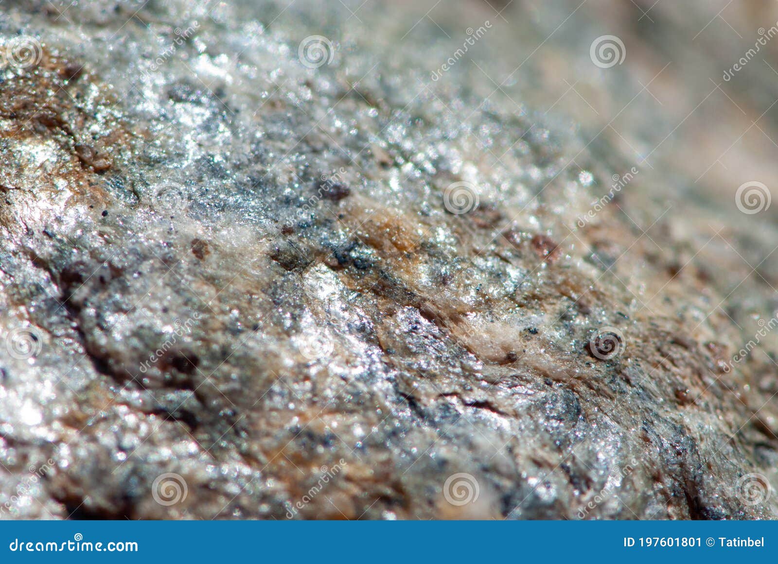 Alpine Close-up Grunge Stone or Rock Texture Stock Image - Image of ...