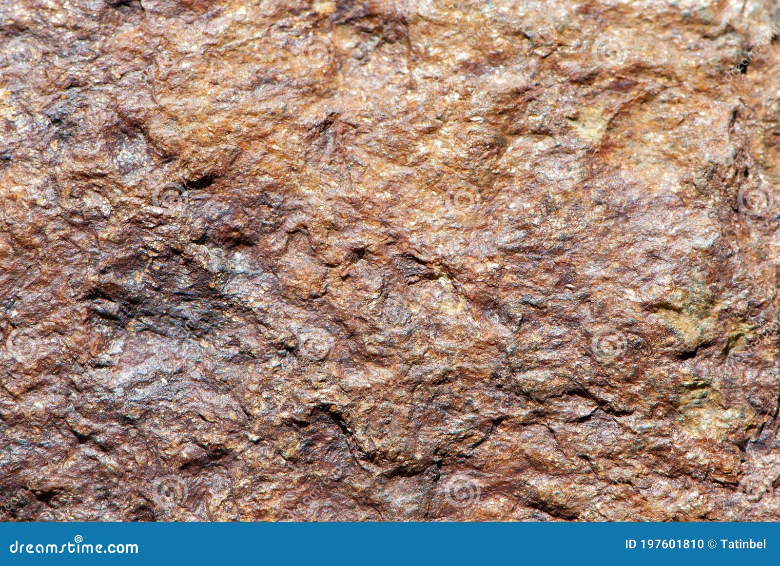 Alpine Close-up Grunge Stone or Rock Texture Stock Photo - Image of ...