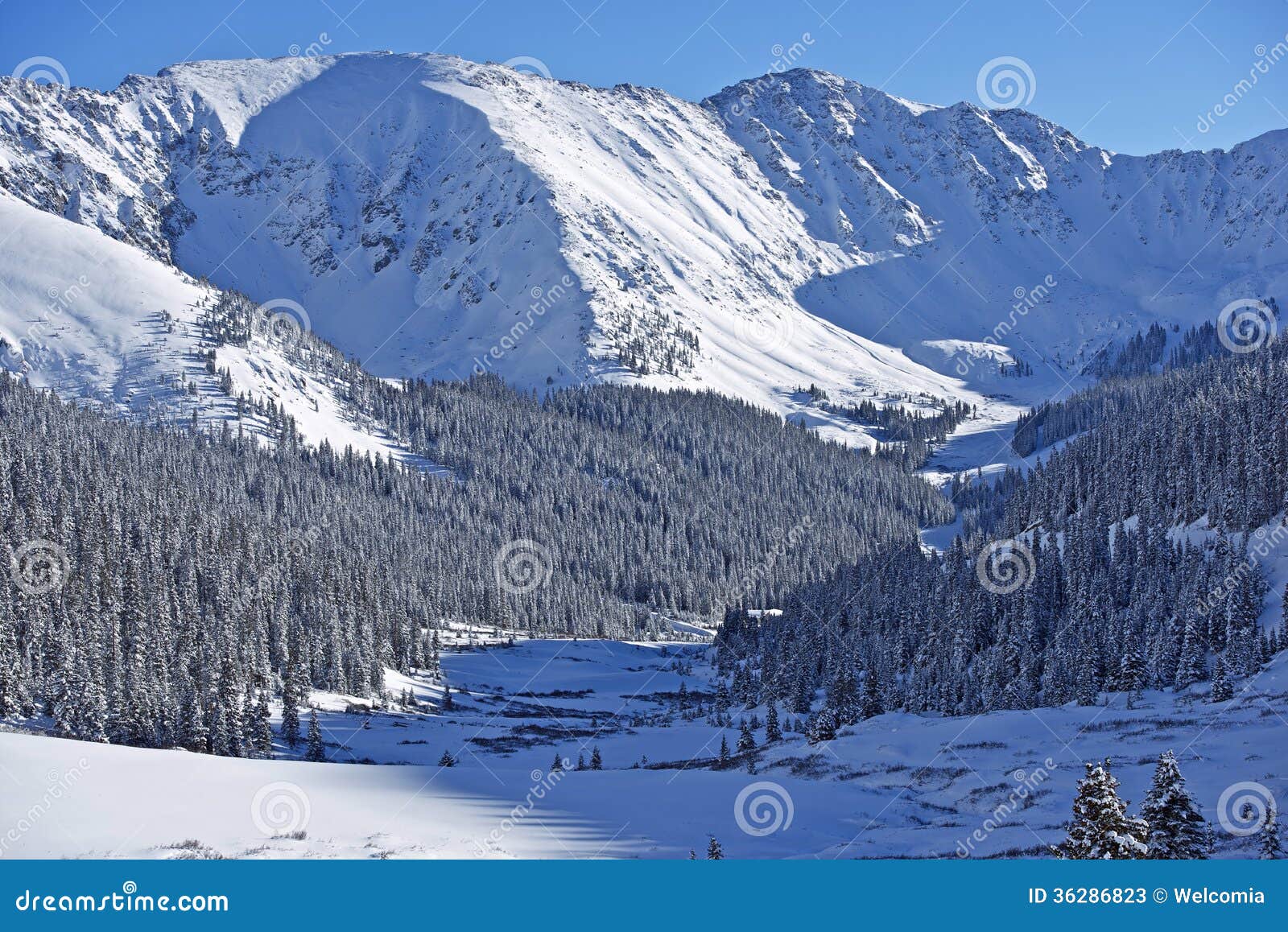 Alpine Colorado Scenery stock image. Image of hike, mountain - 36286823