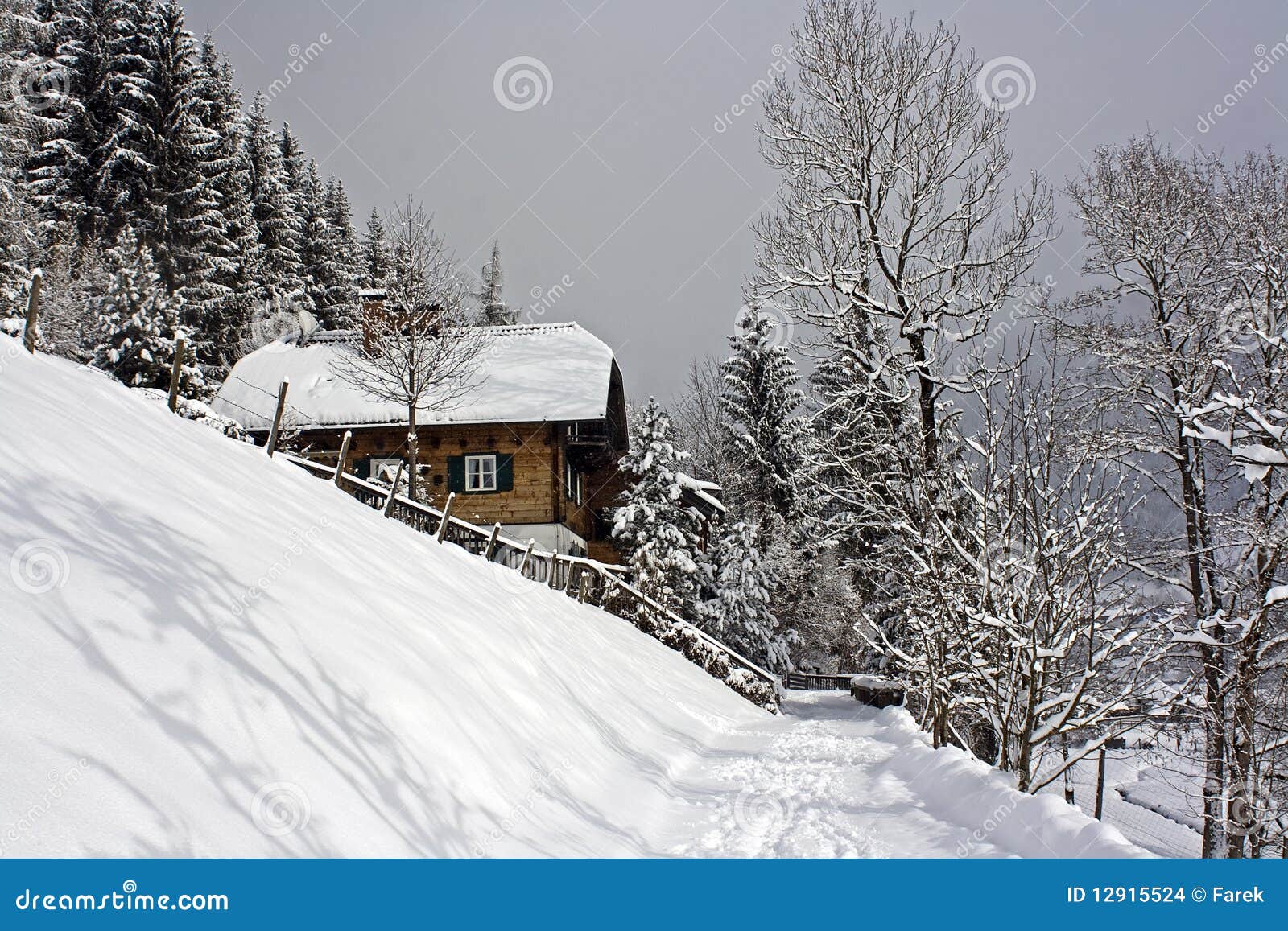 Alpine cottages stock photo. Image of forest, rural, resort - 12915524