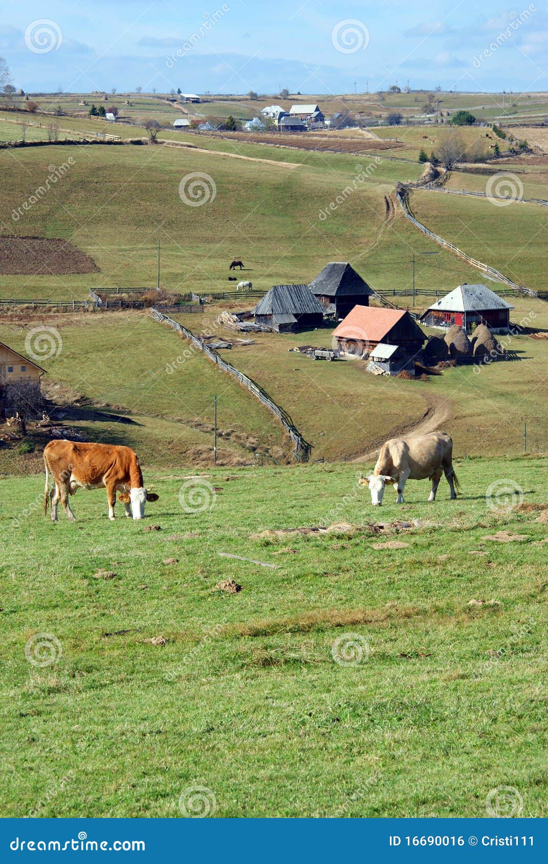 Alpine farm stock photo. Image of house, mountains, green - 16690016