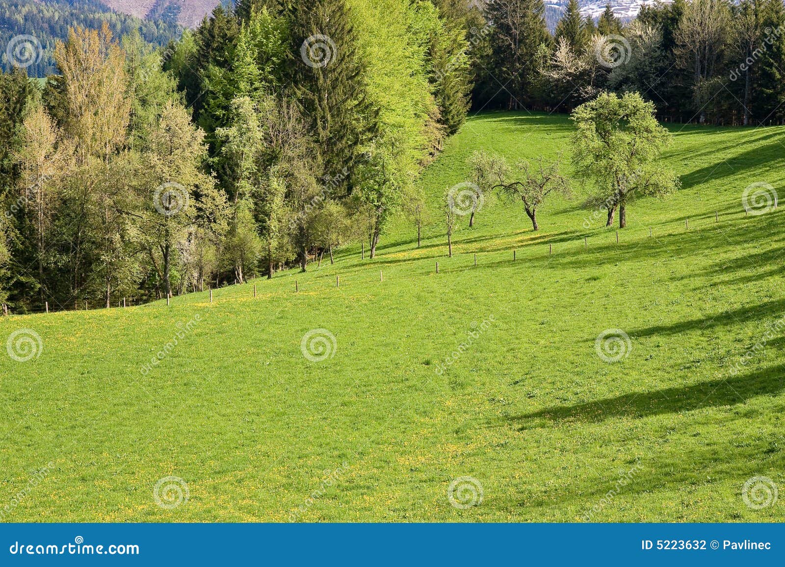 Alpine farm land stock photo. Image of beautiful, grass - 5223632