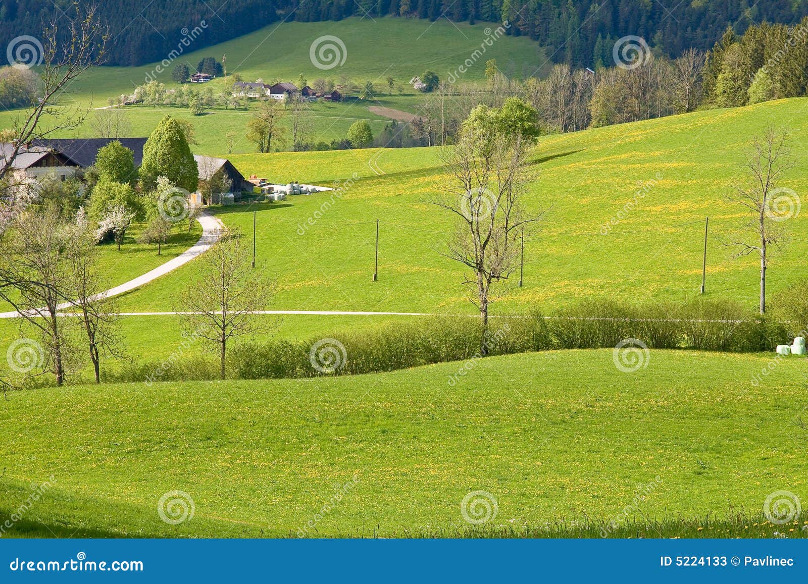 Alpine farm land stock image. Image of country, natural - 5224133
