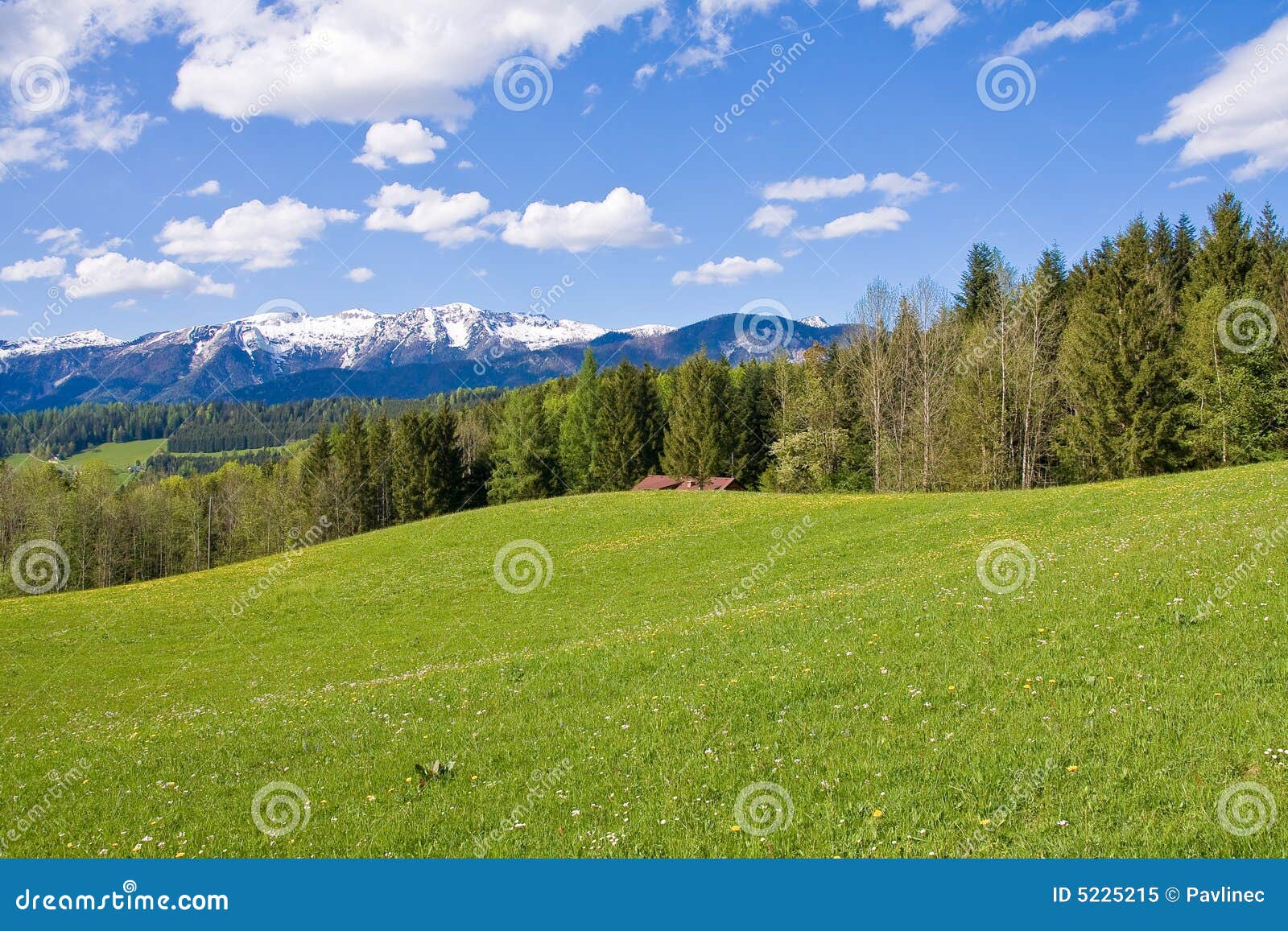 Alpine farm land stock image. Image of countryside, landscape - 5225215