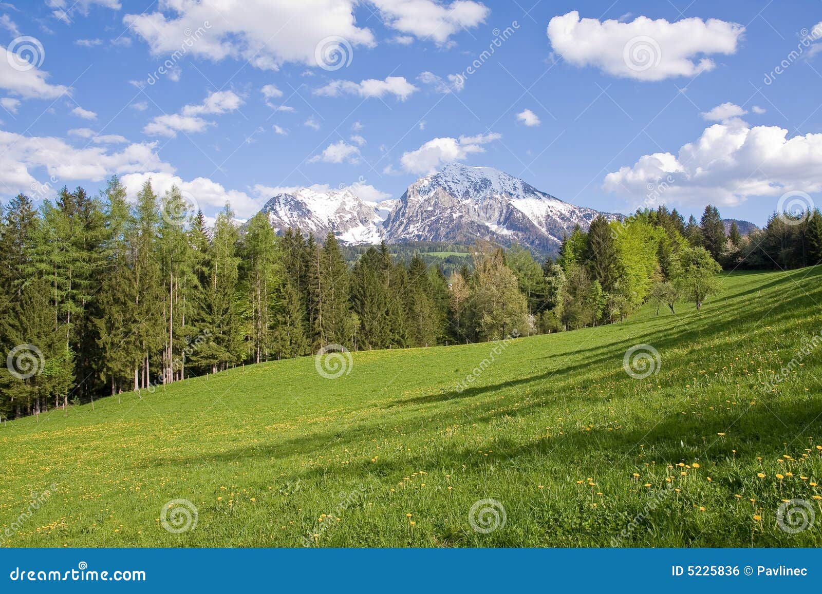 Alpine farm land stock photo. Image of outdoor, panoramic - 5225836