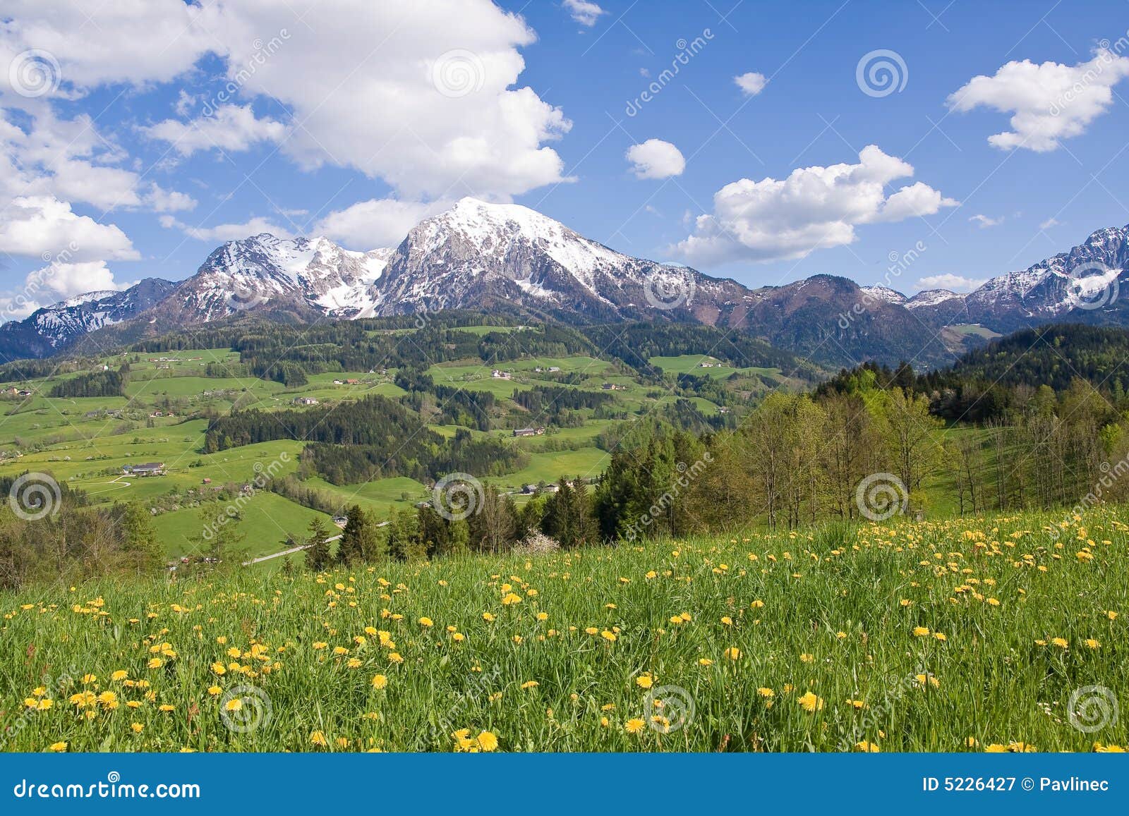 Alpine farm land stock image. Image of field, farm, land - 5226427