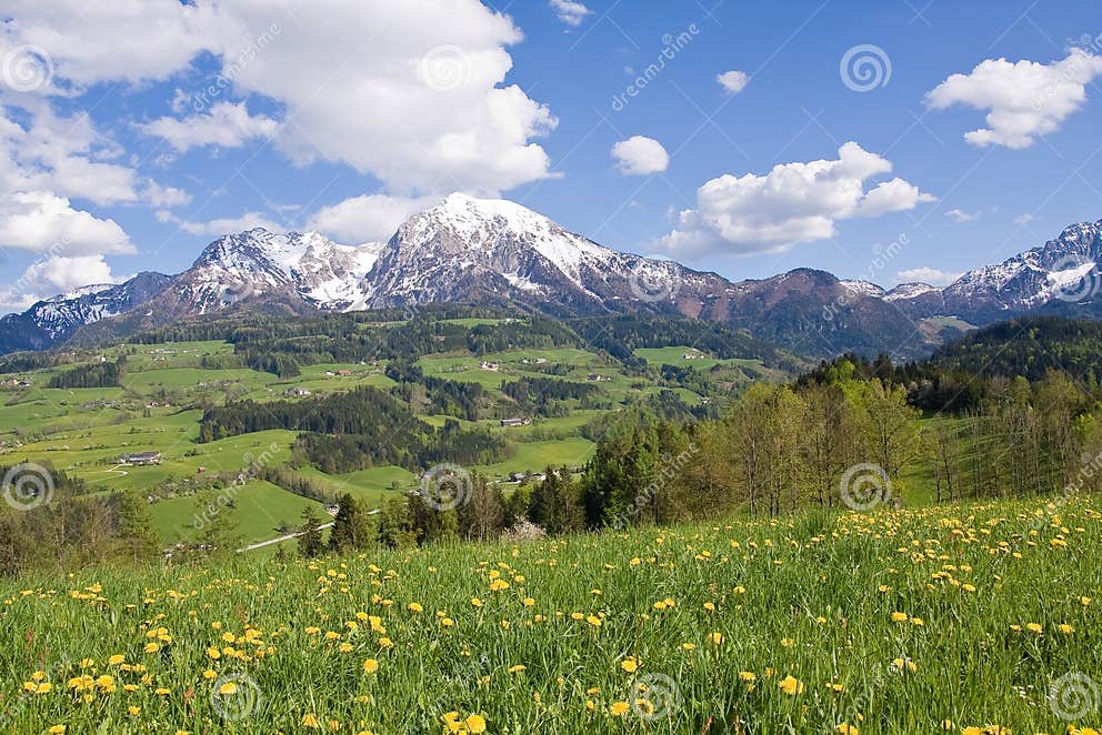 Alpine farm land stock image. Image of field, farm, land - 5226427