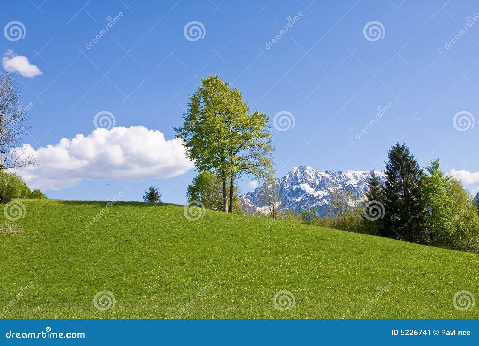 Alpine farm land stock image. Image of blue, bright, farm - 5226741