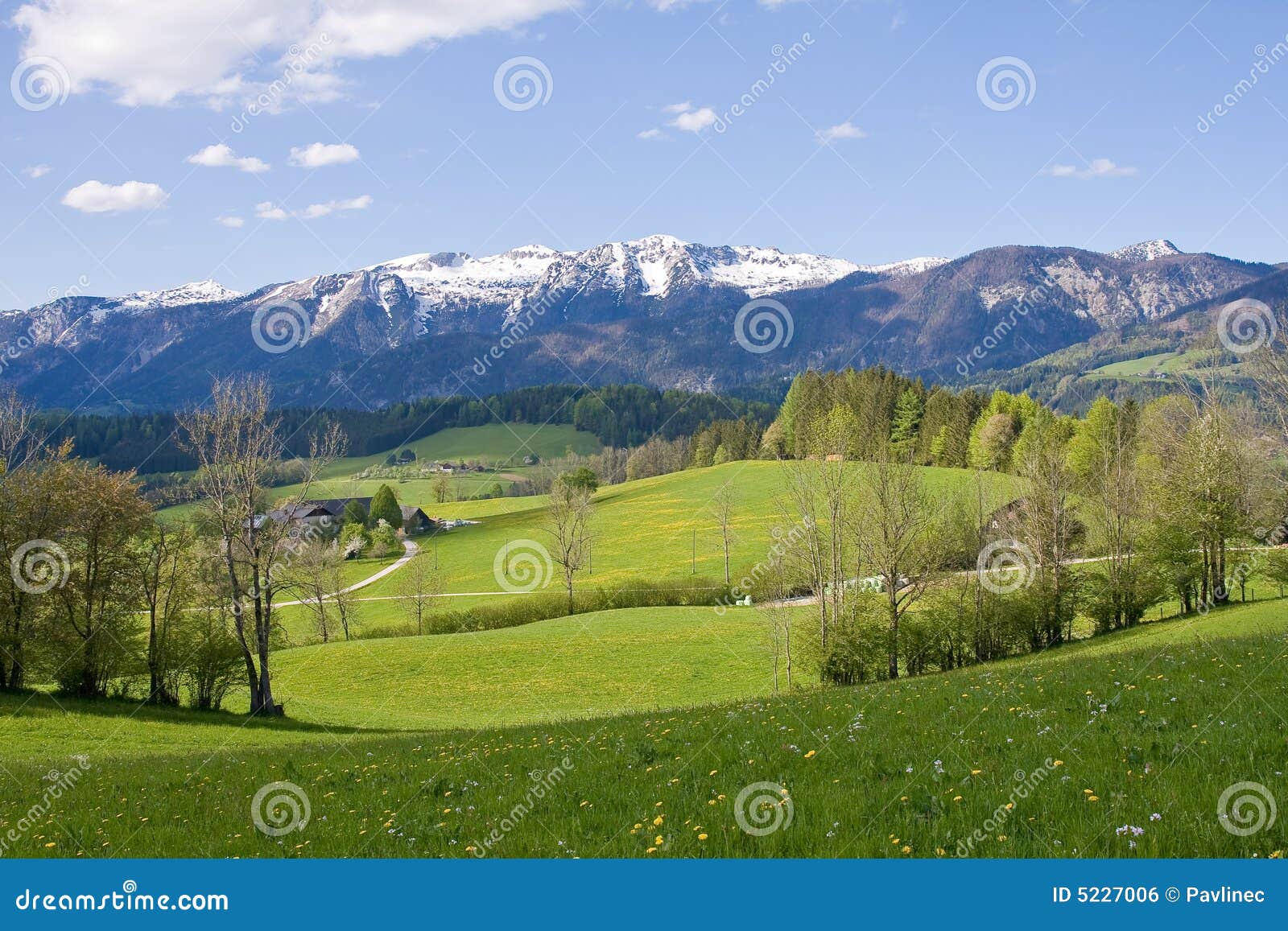 Alpine farm land stock photo. Image of bright, green, country - 5227006