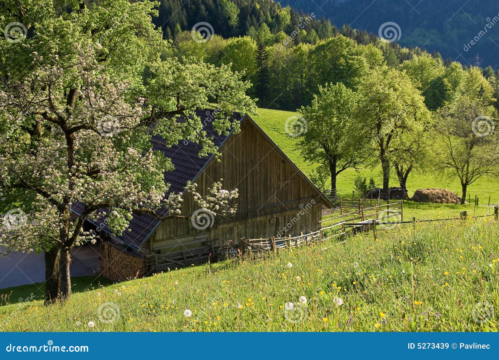 Alpine farm land stock image. Image of backdrop, countryside - 5273439