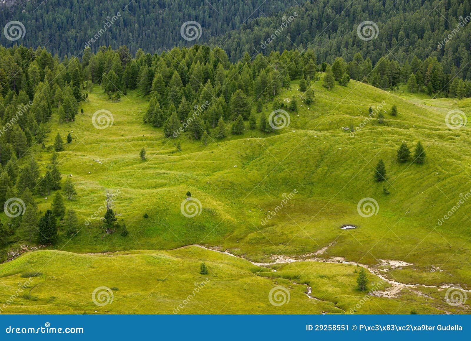 Alpine field stock image. Image of hills, lush, green - 29258551