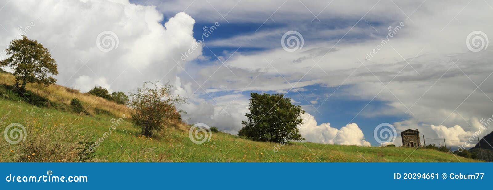 Alpine fields stock image. Image of mount, grass, alps - 20294691