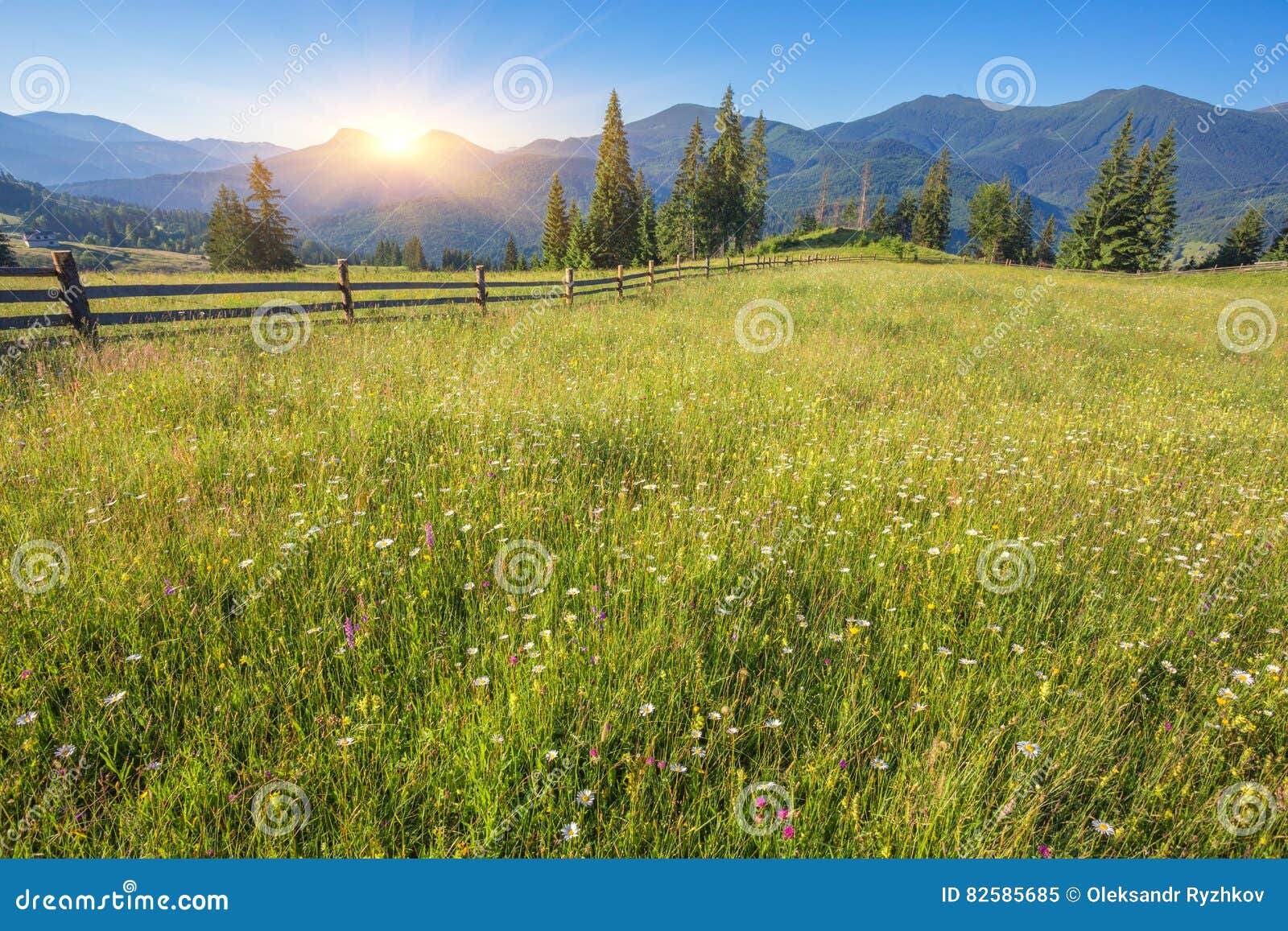 The Alpine Fields Grow Beautiful Spring Stock Image - Image of clouds ...