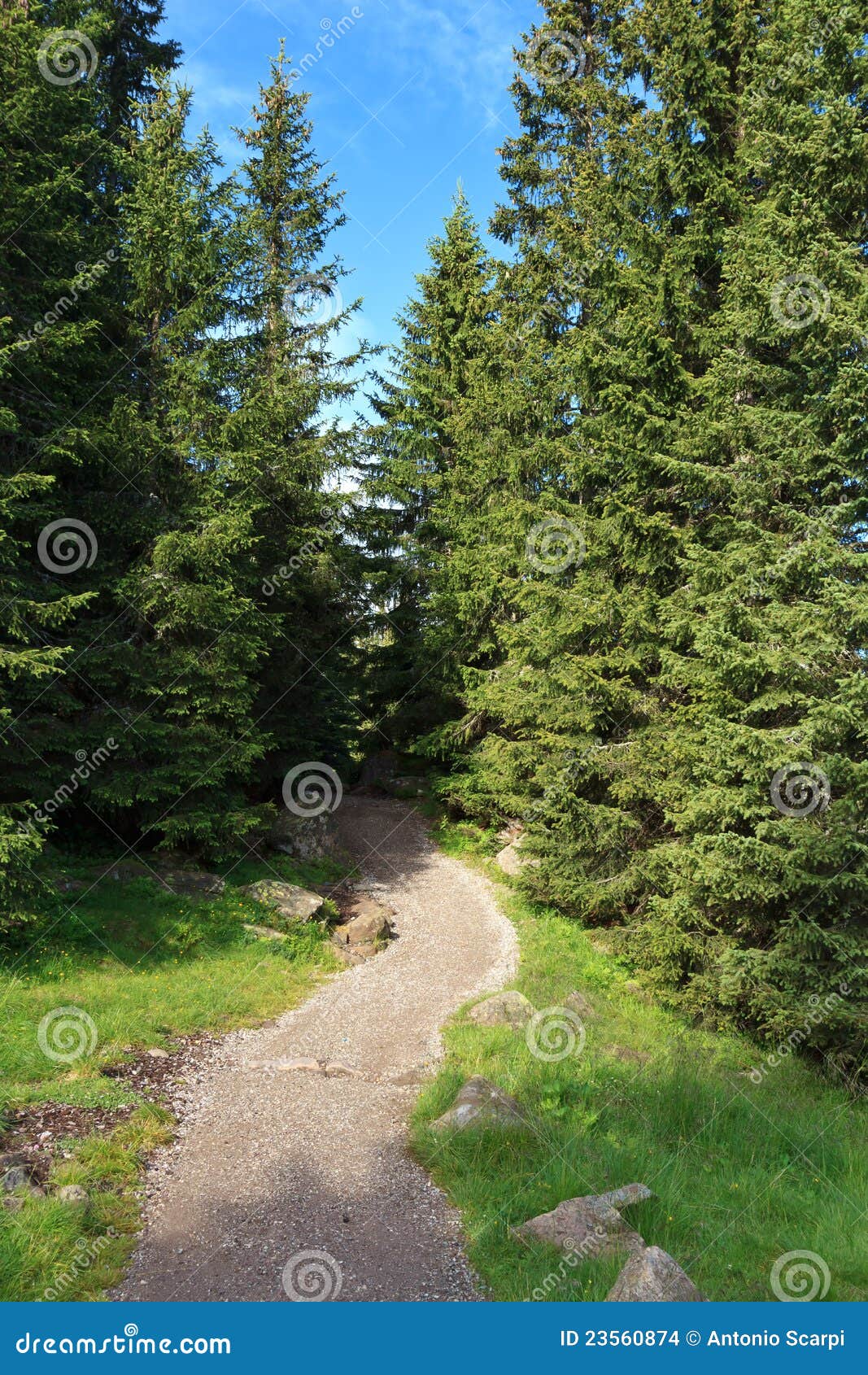 Alpine footpath stock photo. Image of natural, scenic - 23560874