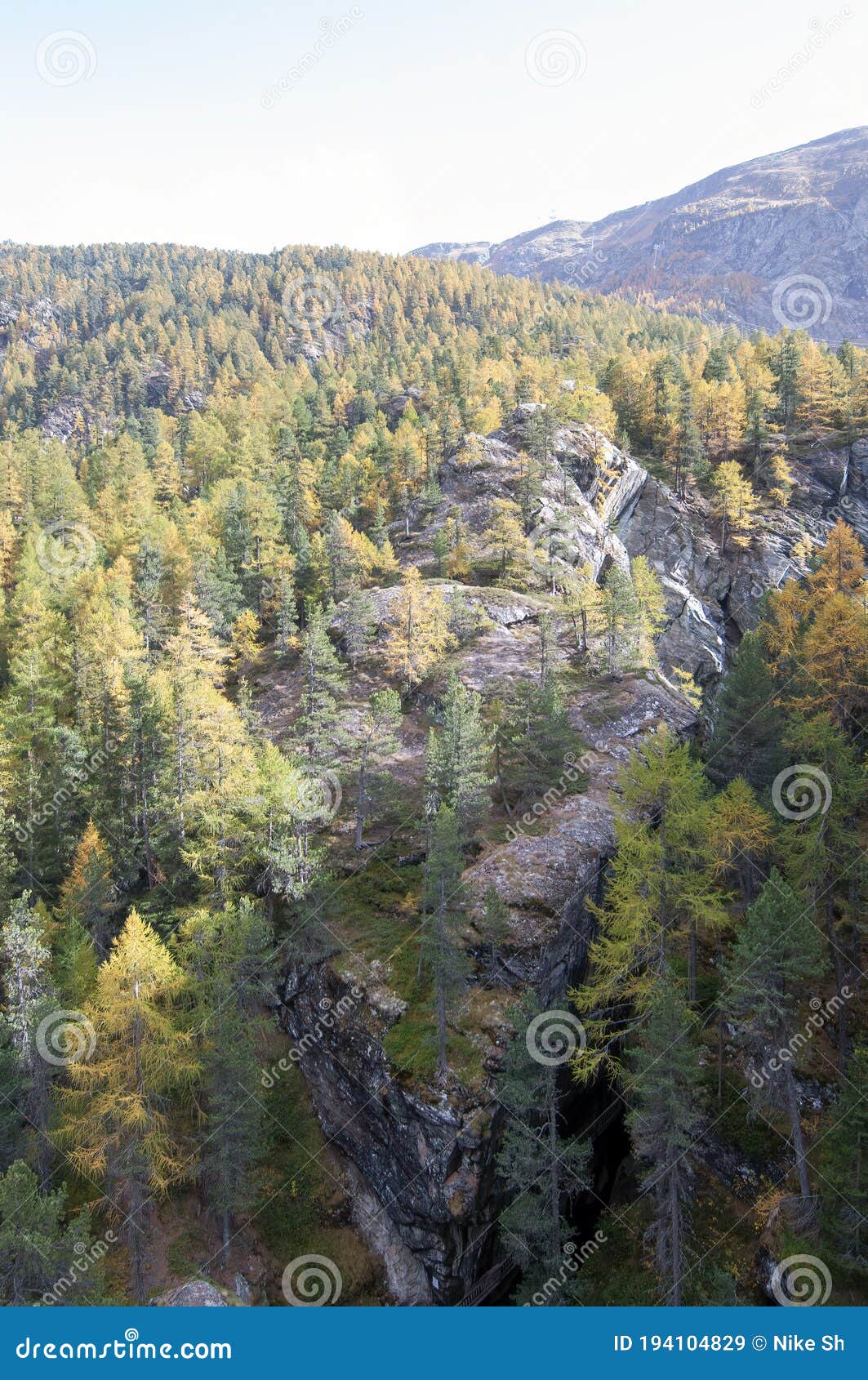 Alpine forest stock image. Image of countryside, fall - 194104829