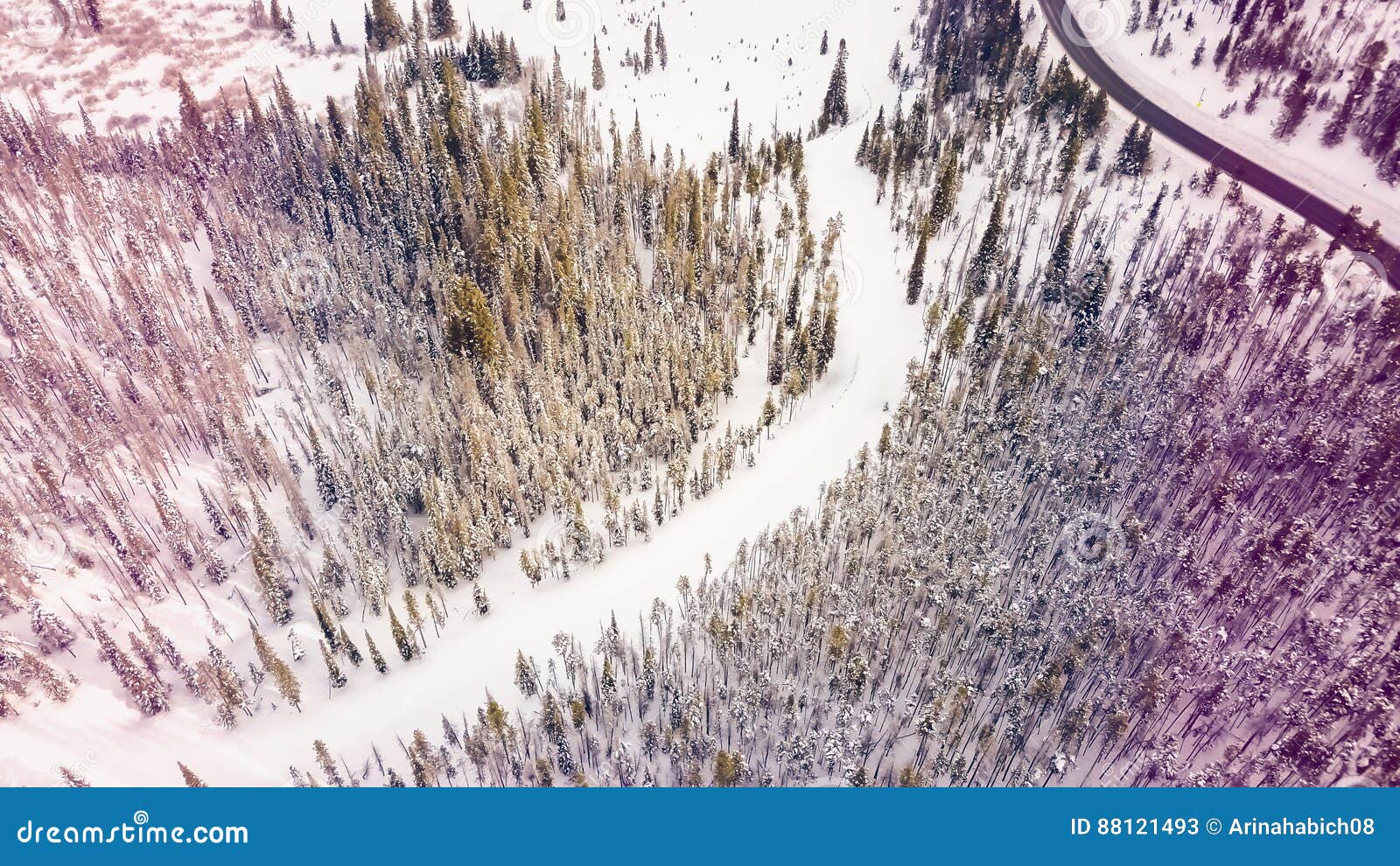 Alpine forest stock image. Image of mountain, landforms - 88121493