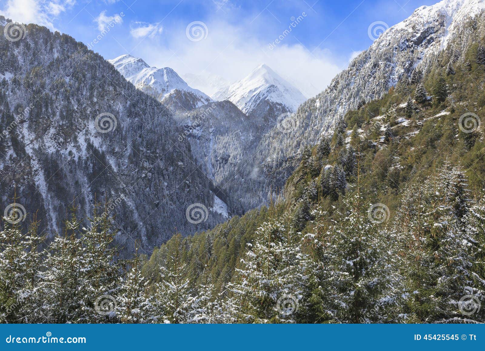 Alpine forest landscape stock image. Image of tirol, ravine - 45425545