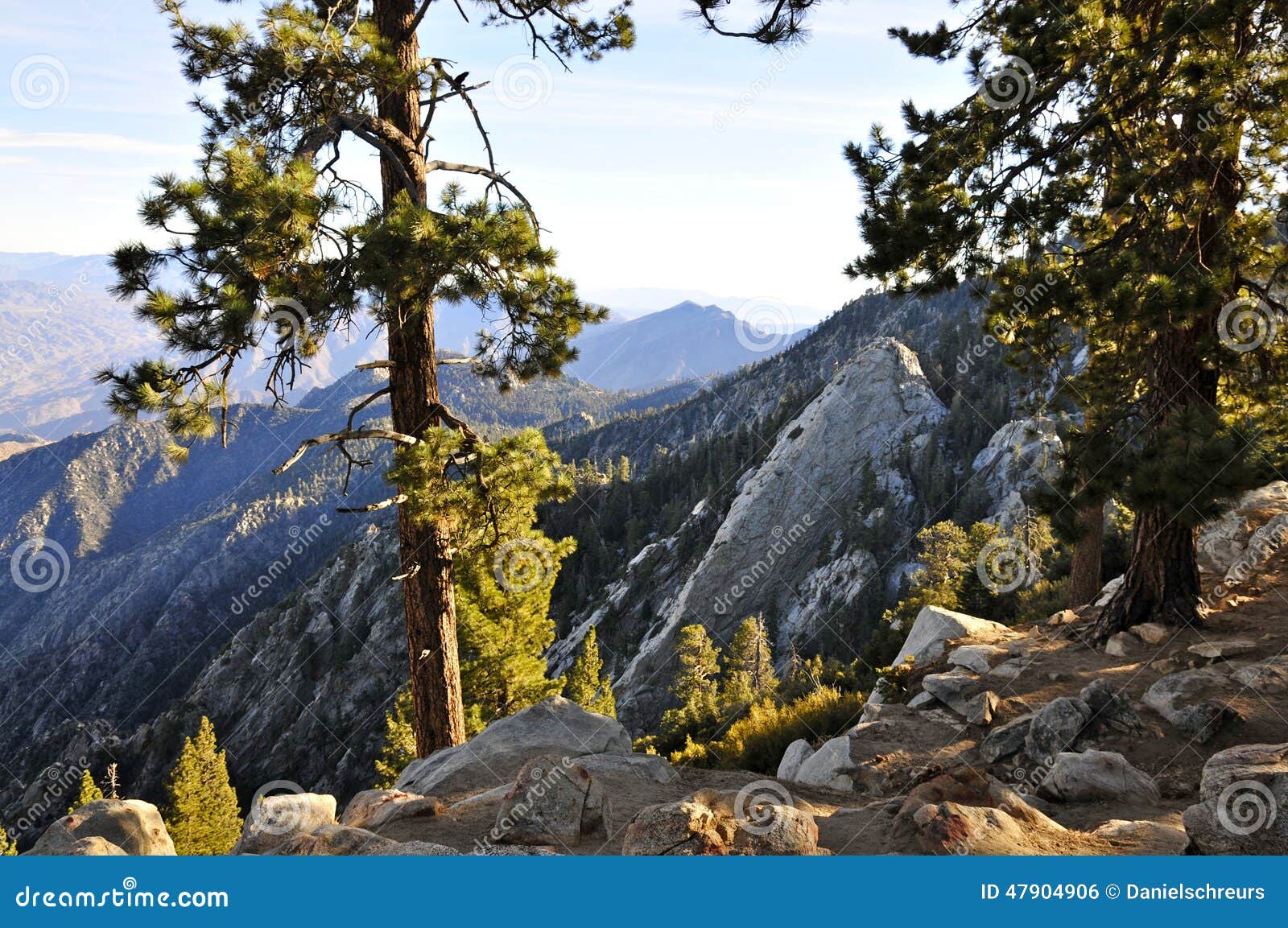 Alpine Forest in Mount Jacinto State Park Stock Photo - Image of ...
