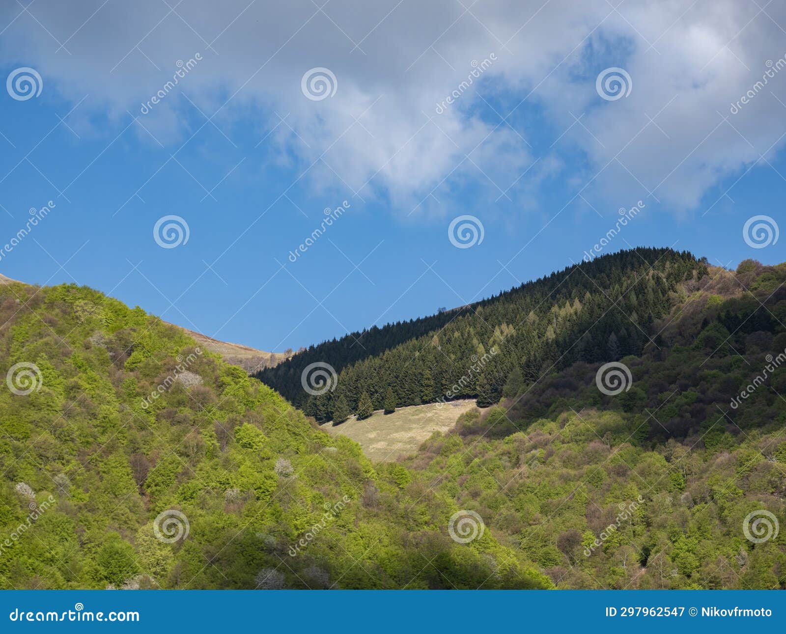 Alpine Forest in the Prealps of Lake Como Stock Image - Image of nature ...
