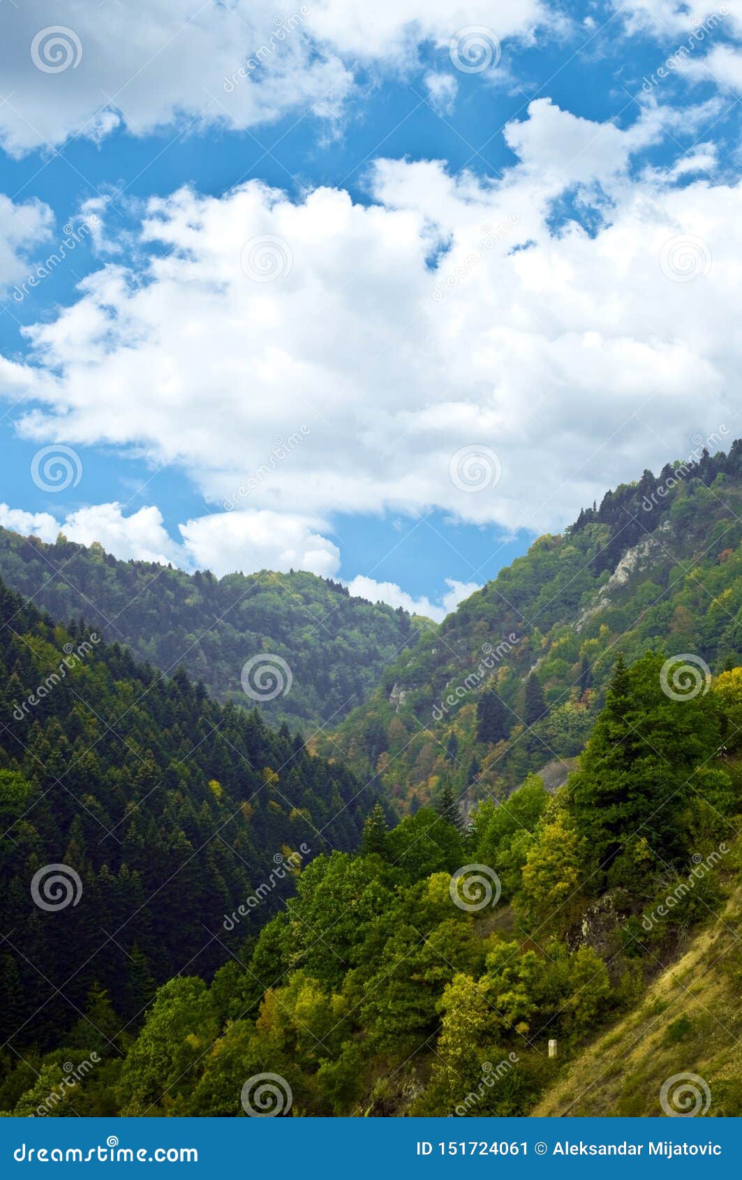 Alpine Forest and Sky Landscape Stock Image - Image of slope, blue ...