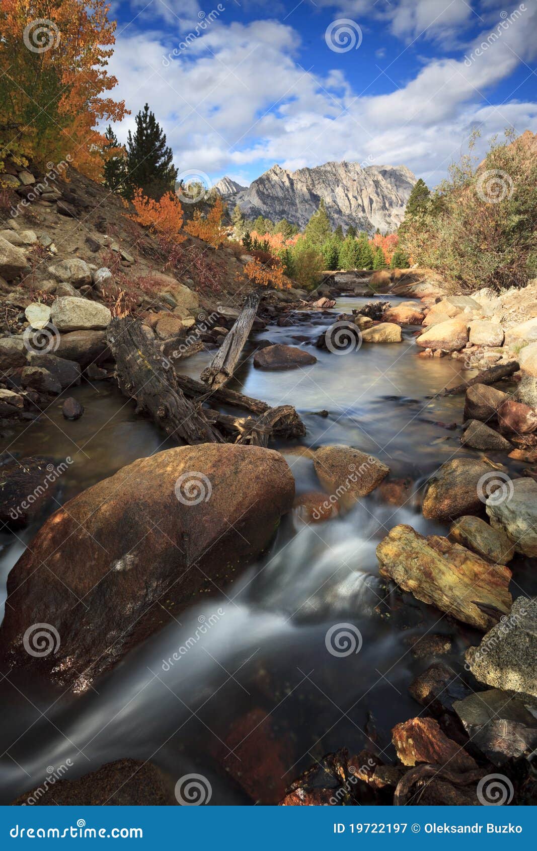Alpine Forest Stream in Autumn Stock Image - Image of flow, vertical ...