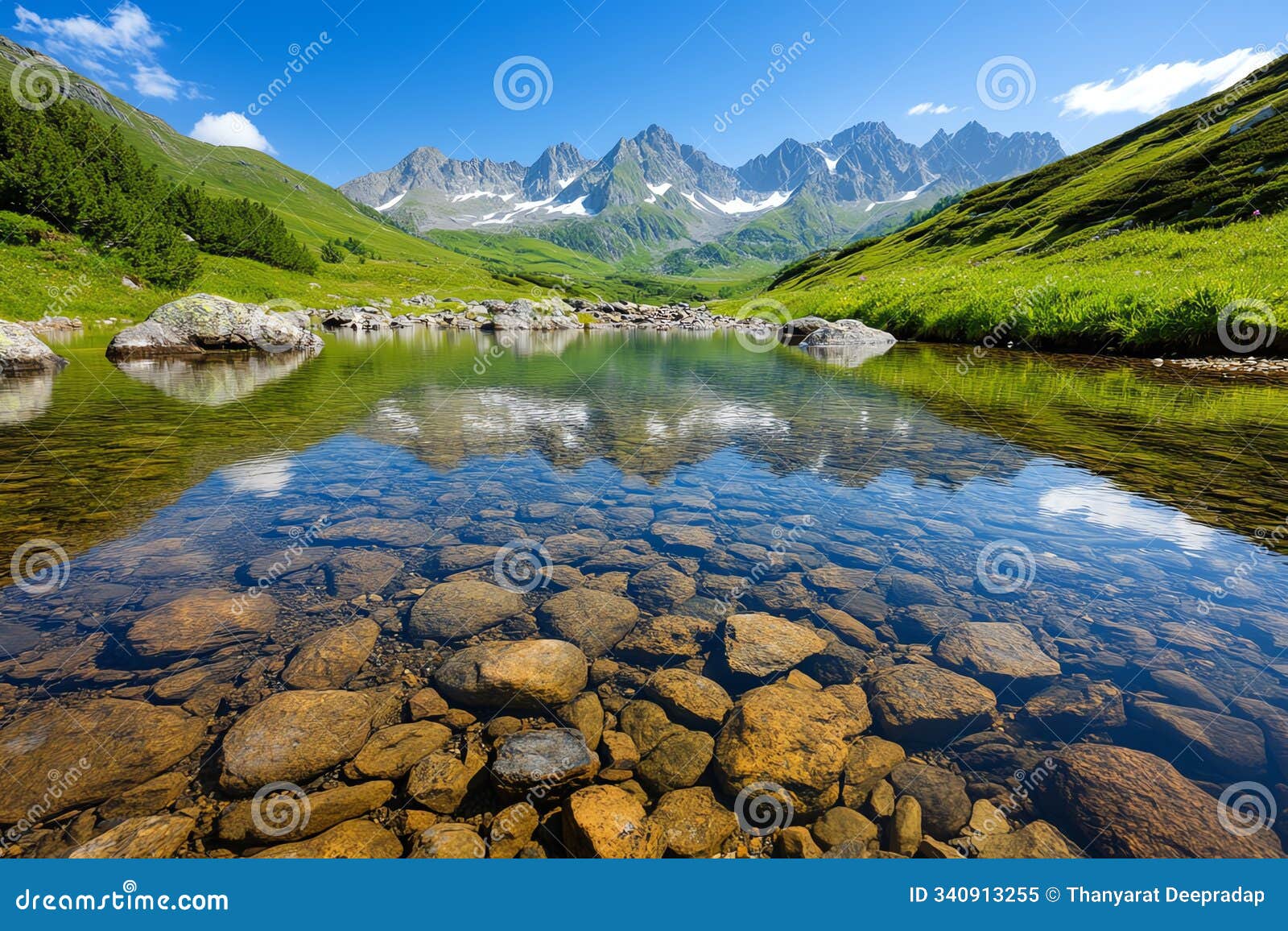 Alpine Forests, Mountain Wildlife, Clear Streams Form a Rich Ecosystem ...