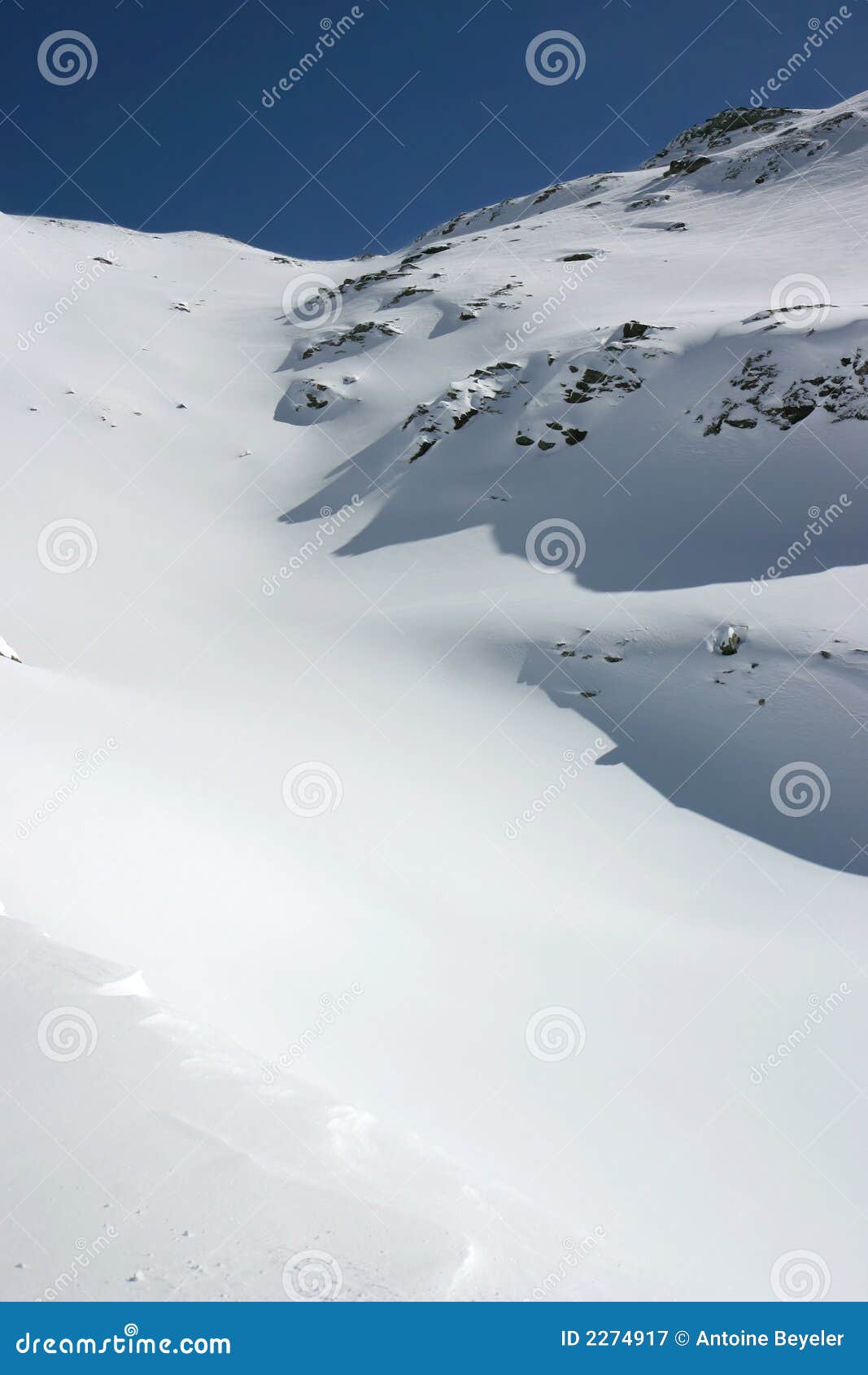 Alpine fresh snow stock image. Image of tree, sightseeing - 2274917