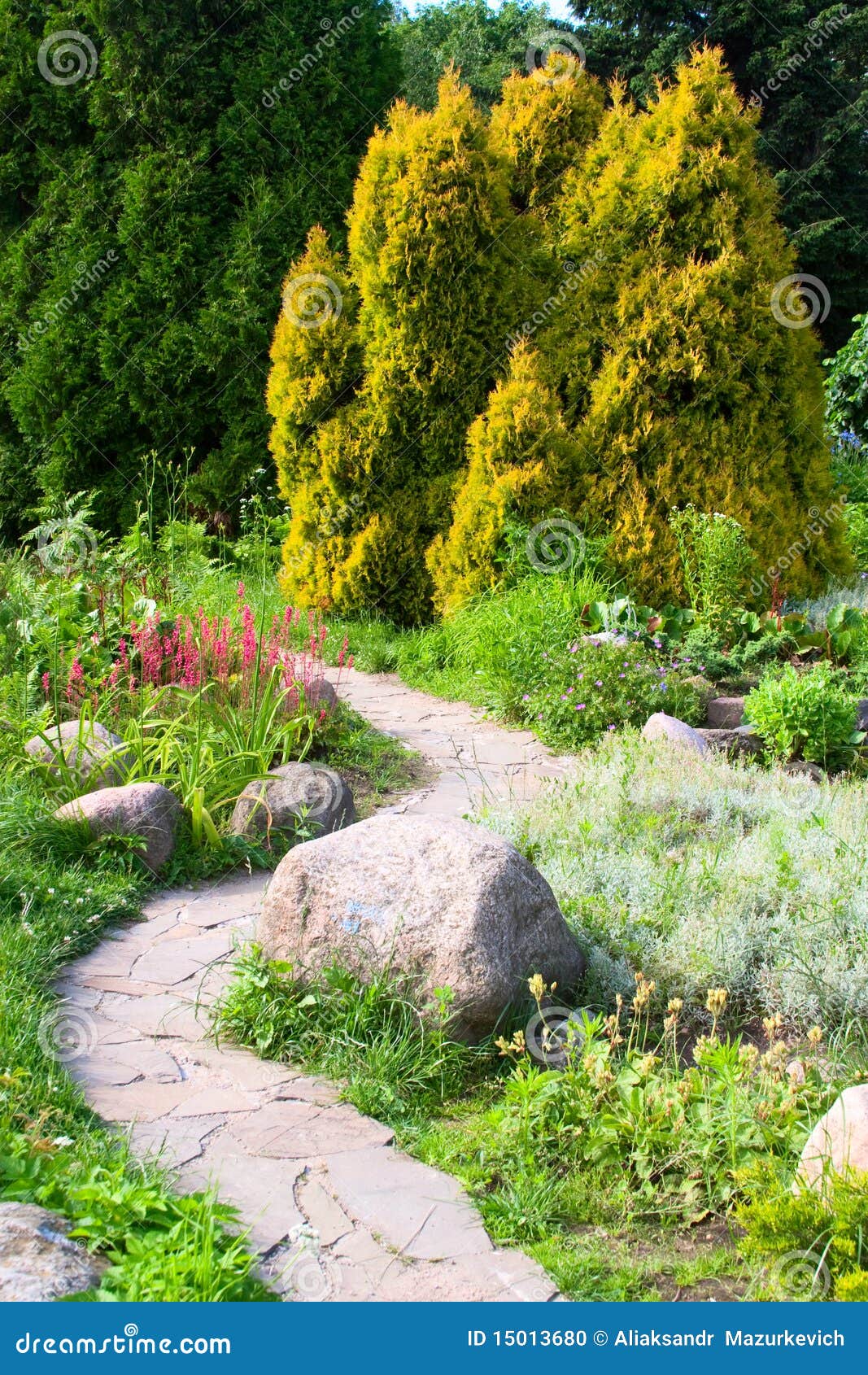 Alpine garden stock photo. Image of cute, path, ornamental - 15013680