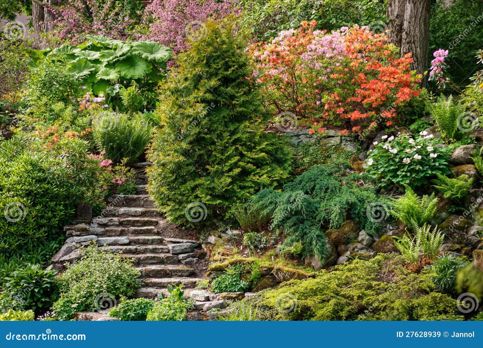 Alpine garden stock image. Image of spring, garden, meditation - 27628939