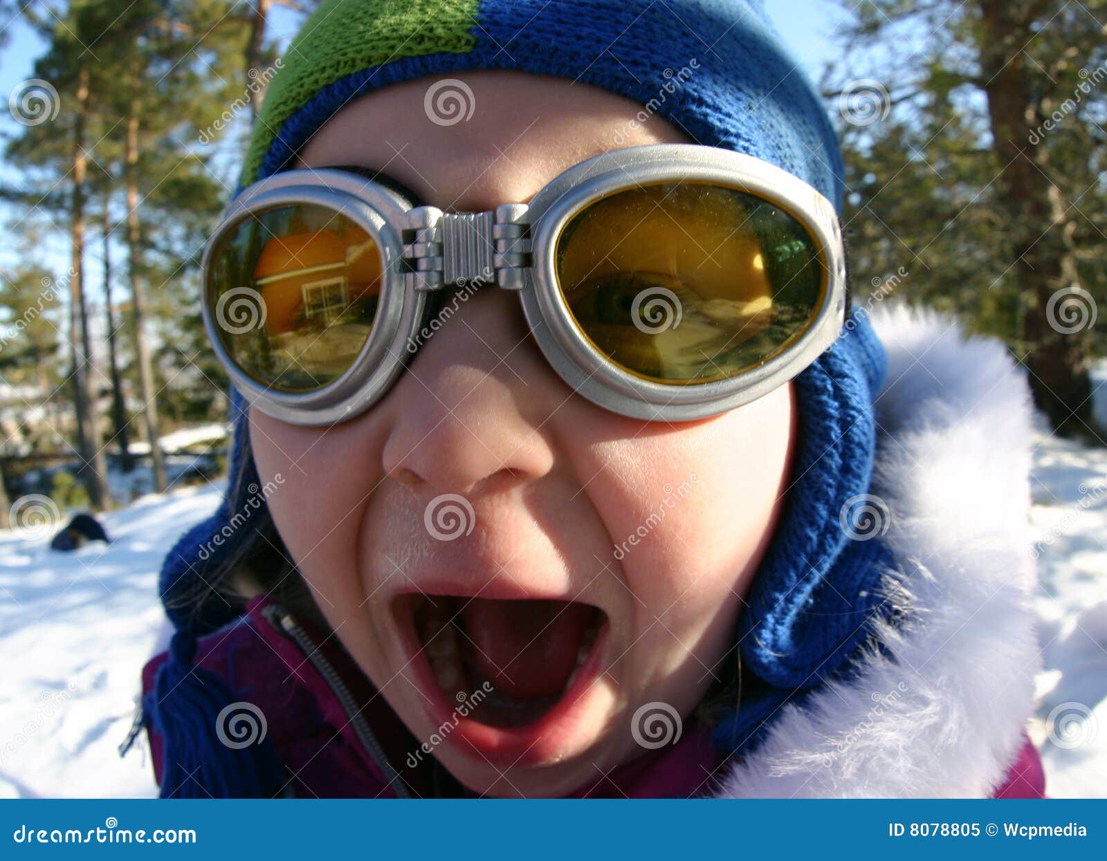 Alpine Girl stock image. Image of girl, mountain, eager - 8078805