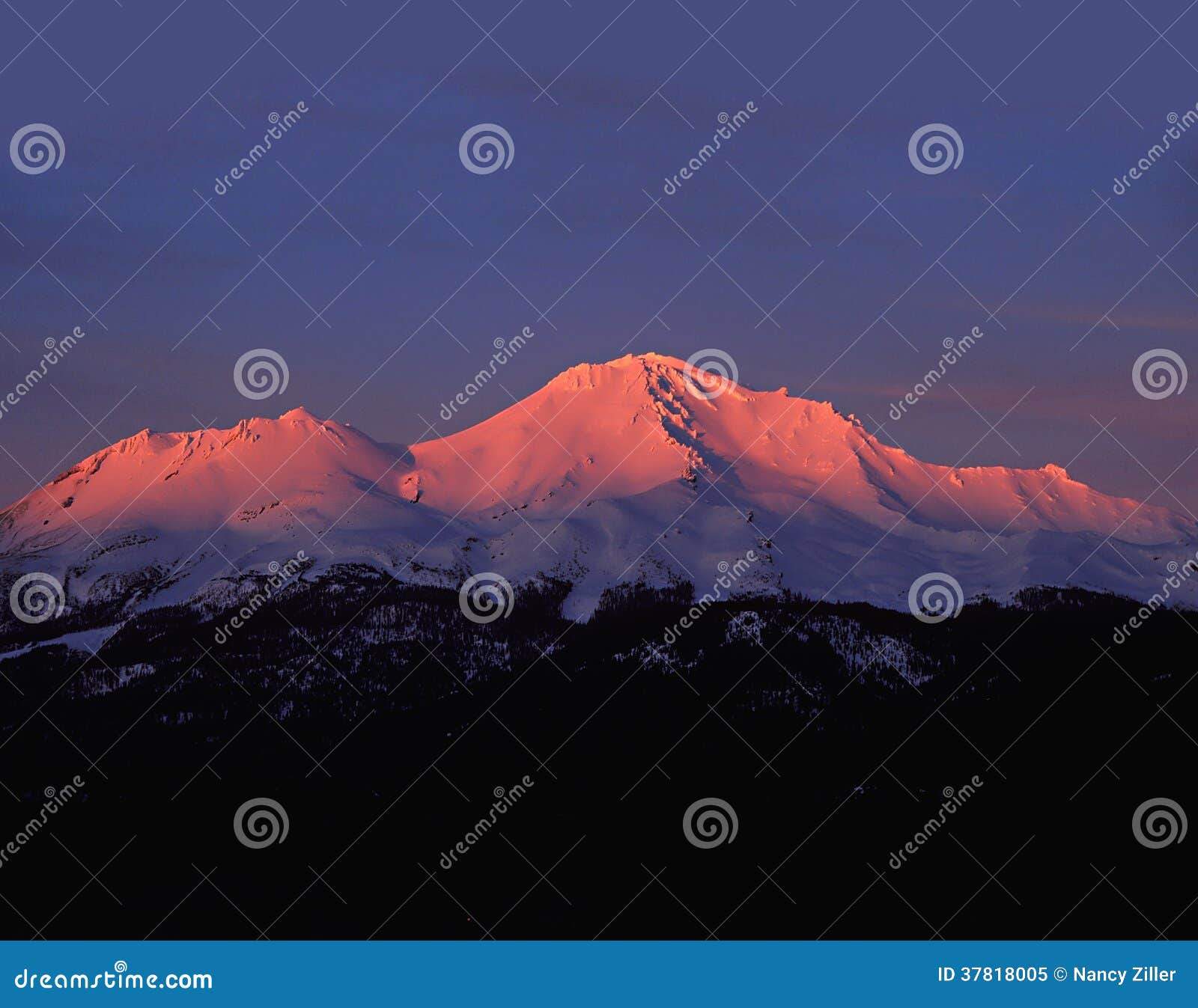 Alpine Glow Sunset on Mt Shasta Stock Image - Image of range, alpine ...