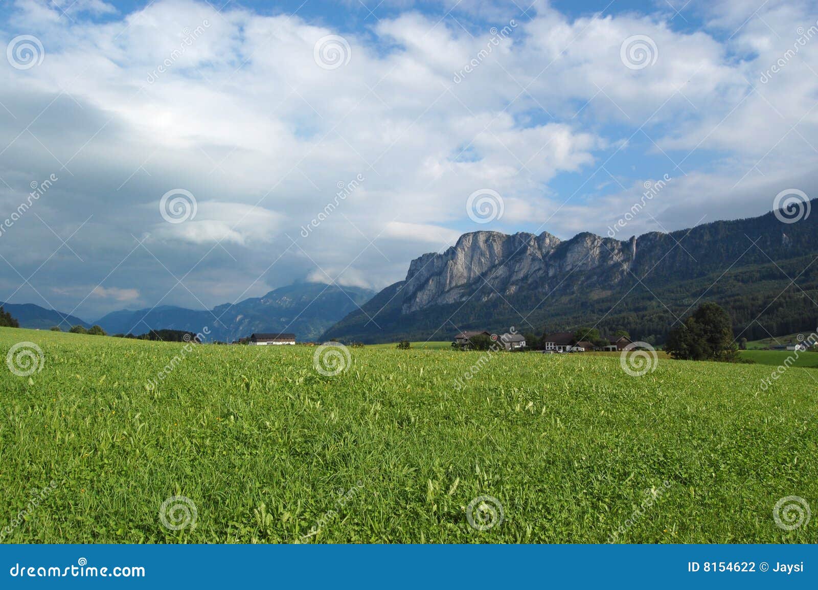 Alpine grass stock photo. Image of vivid, peak, landscape - 8154622