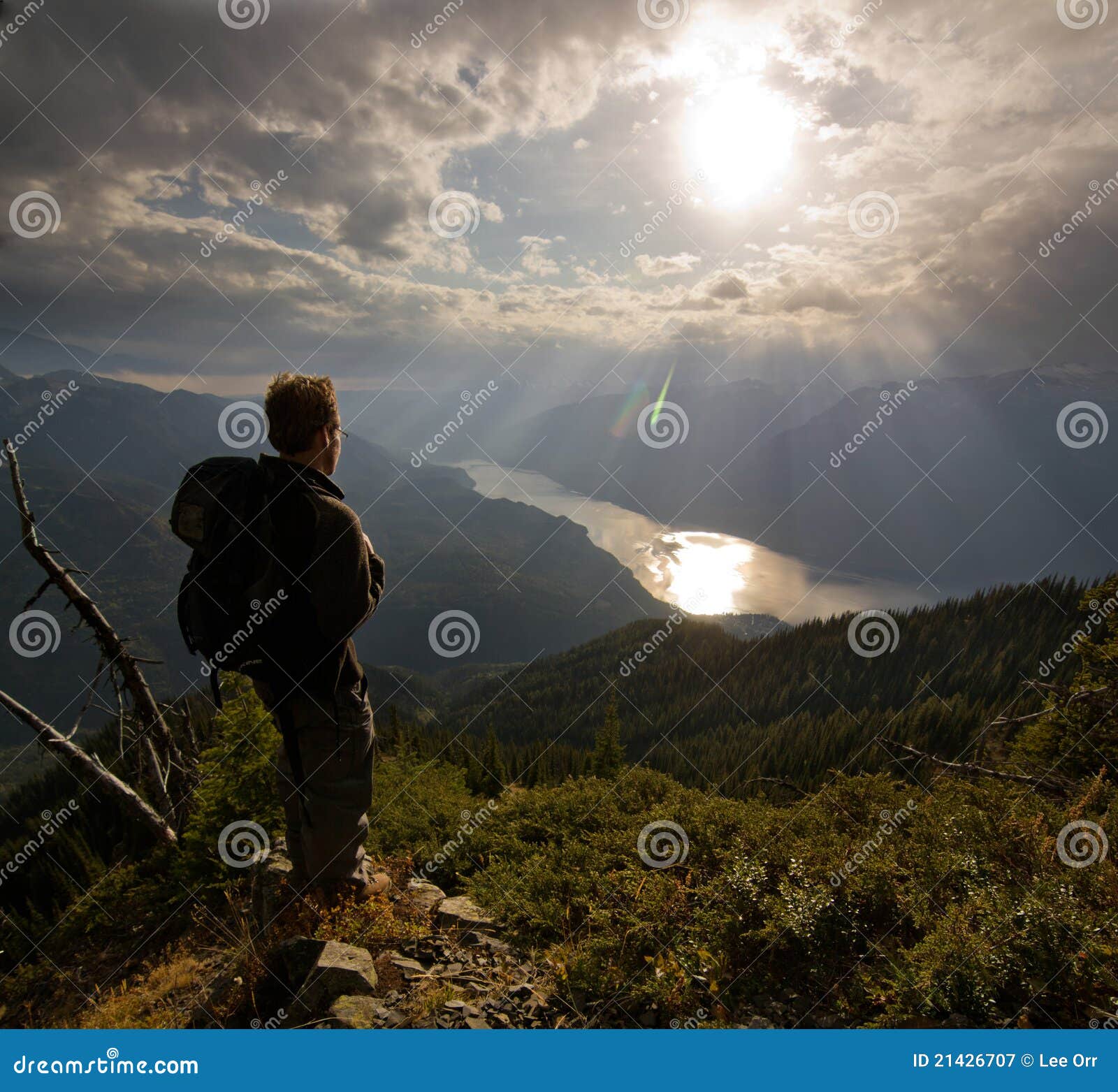 Man Ledge Overlooking Forest Stock Photos - Free & Royalty-Free Stock ...