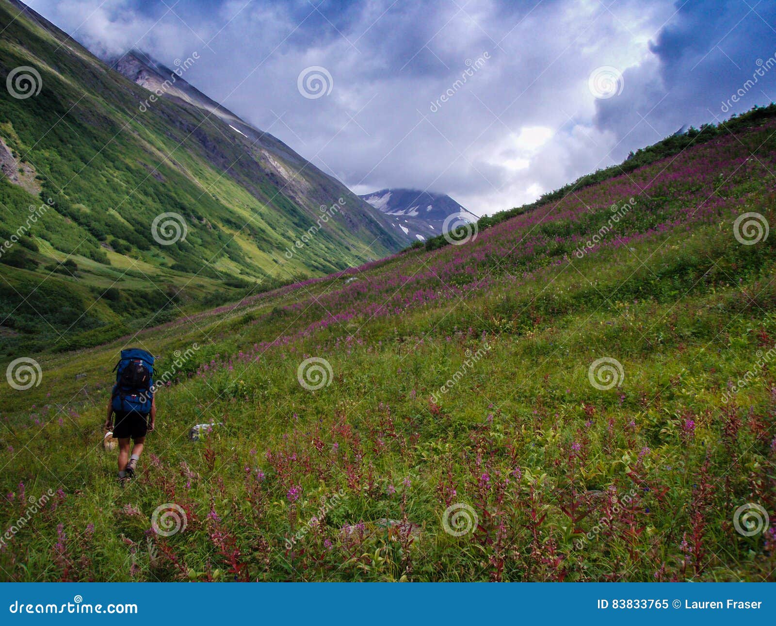 Alpine hiking in Alaska editorial image. Image of backpacking - 83833765