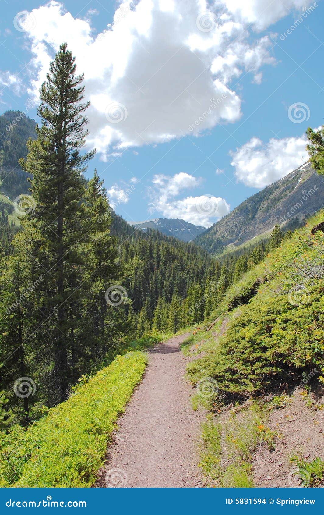Alpine hiking trail stock photo. Image of green, blue - 5831594