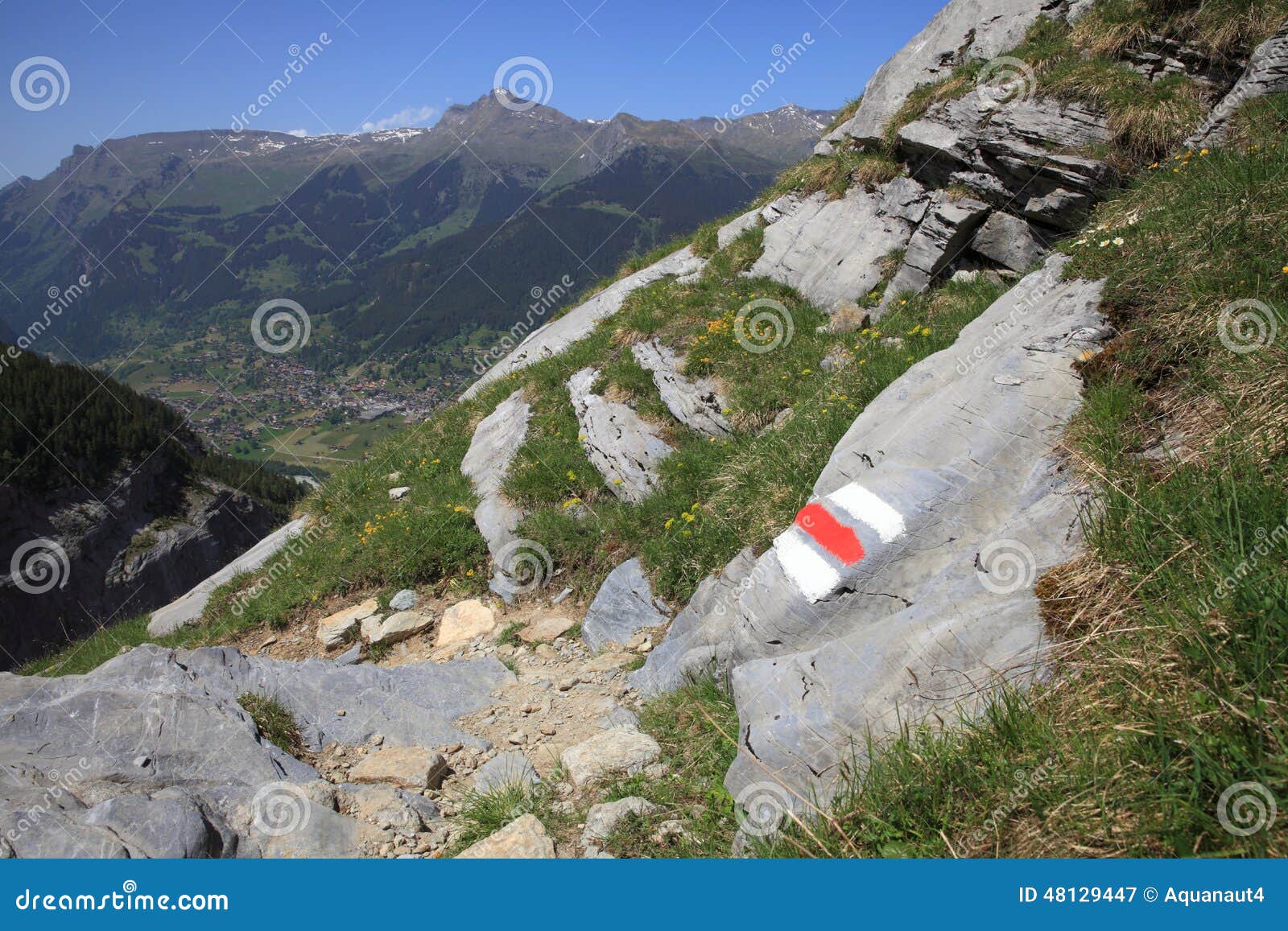 Alpine hiking trail stock image. Image of bern, danger - 48129447
