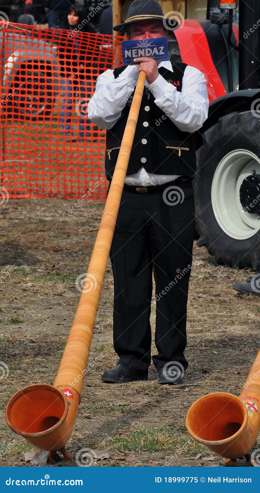 Alpine horn player editorial image. Image of musical - 18999775