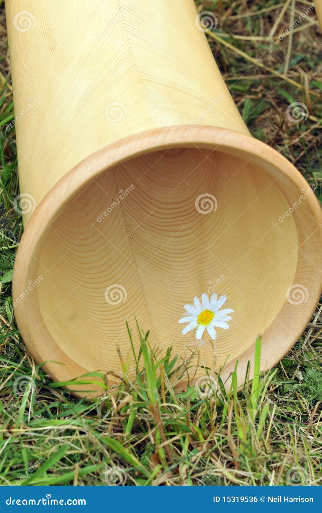 Alpine Horns stock photo. Image of instrument, blow, musical - 15319536