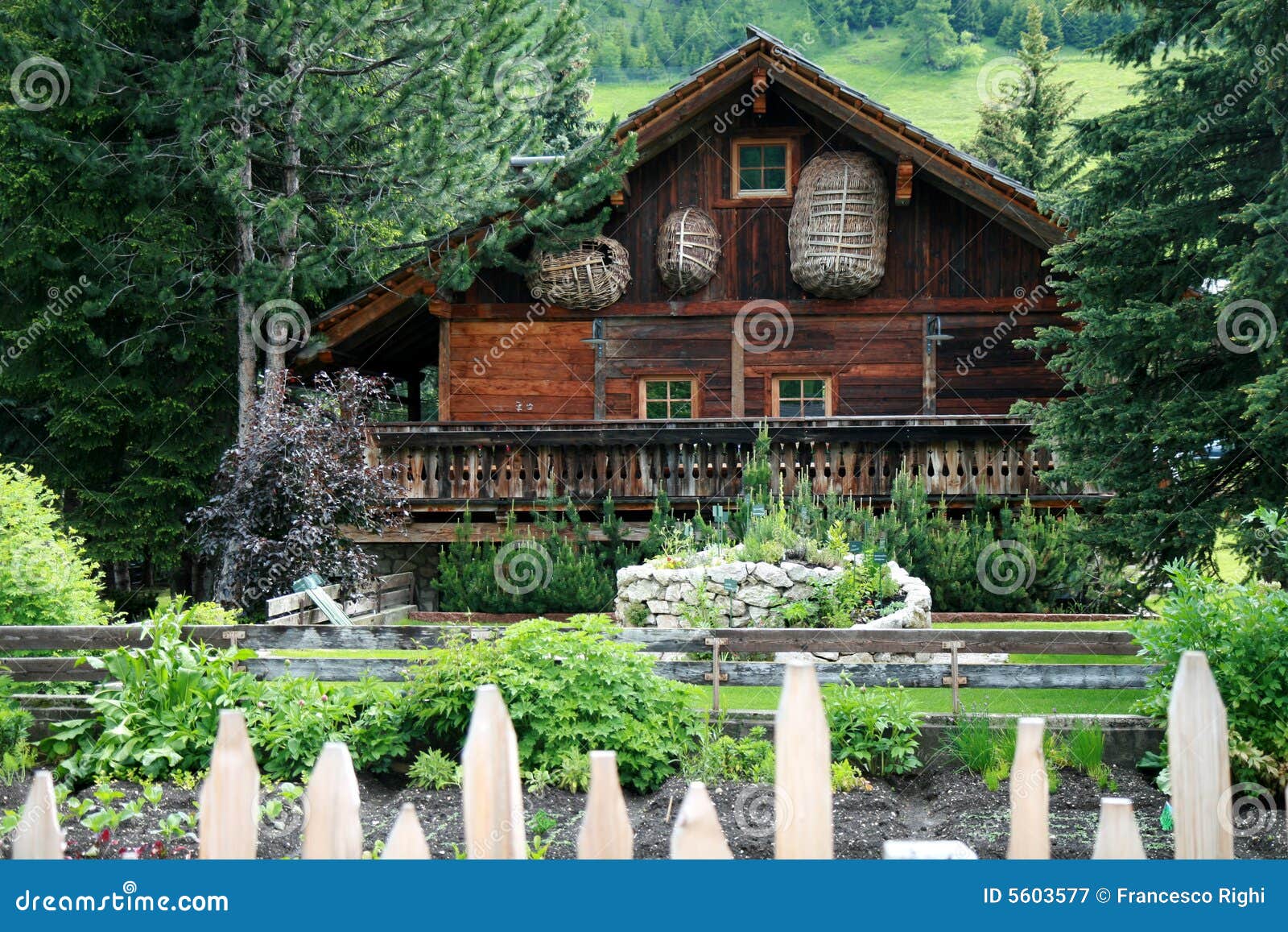 Alpine house stock image. Image of farmland, land, spring - 5603577