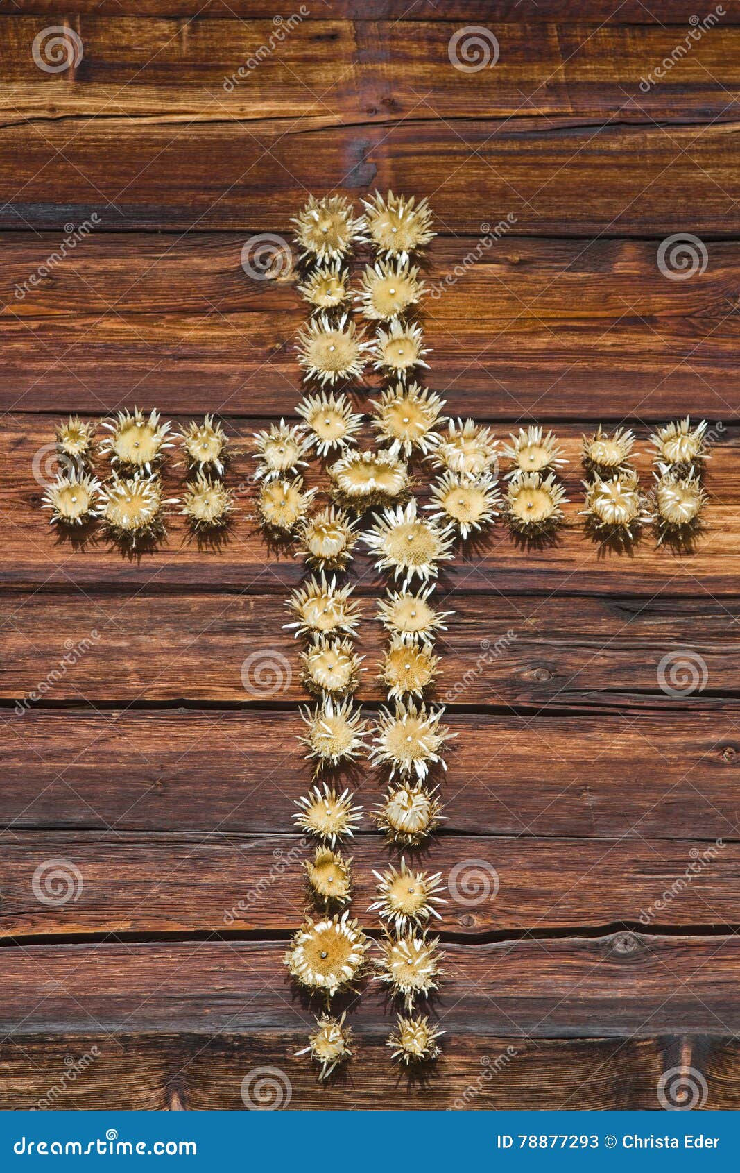 Alpine Hut Detail with Silver Thistles Stock Image - Image of ...